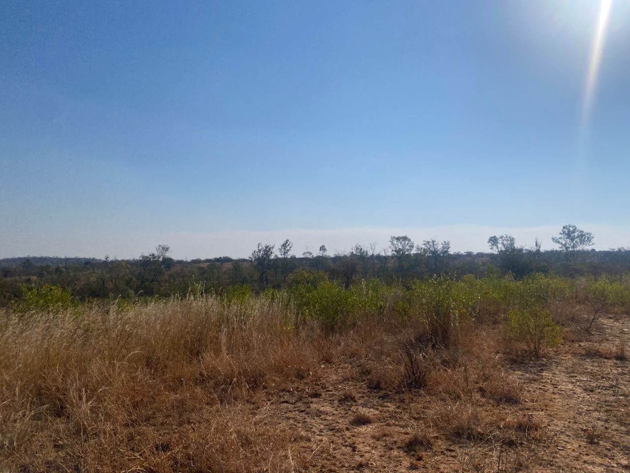 Claremont Stand For Sale - Stonebridge Real Estate